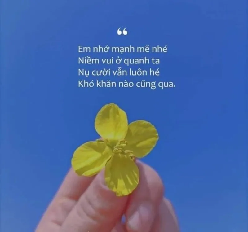 1001 STT Vui Vẻ Ngắn Gọn: Nâng Cao Tinh Thần Lạc Quan & Lan Tỏa Năng ...